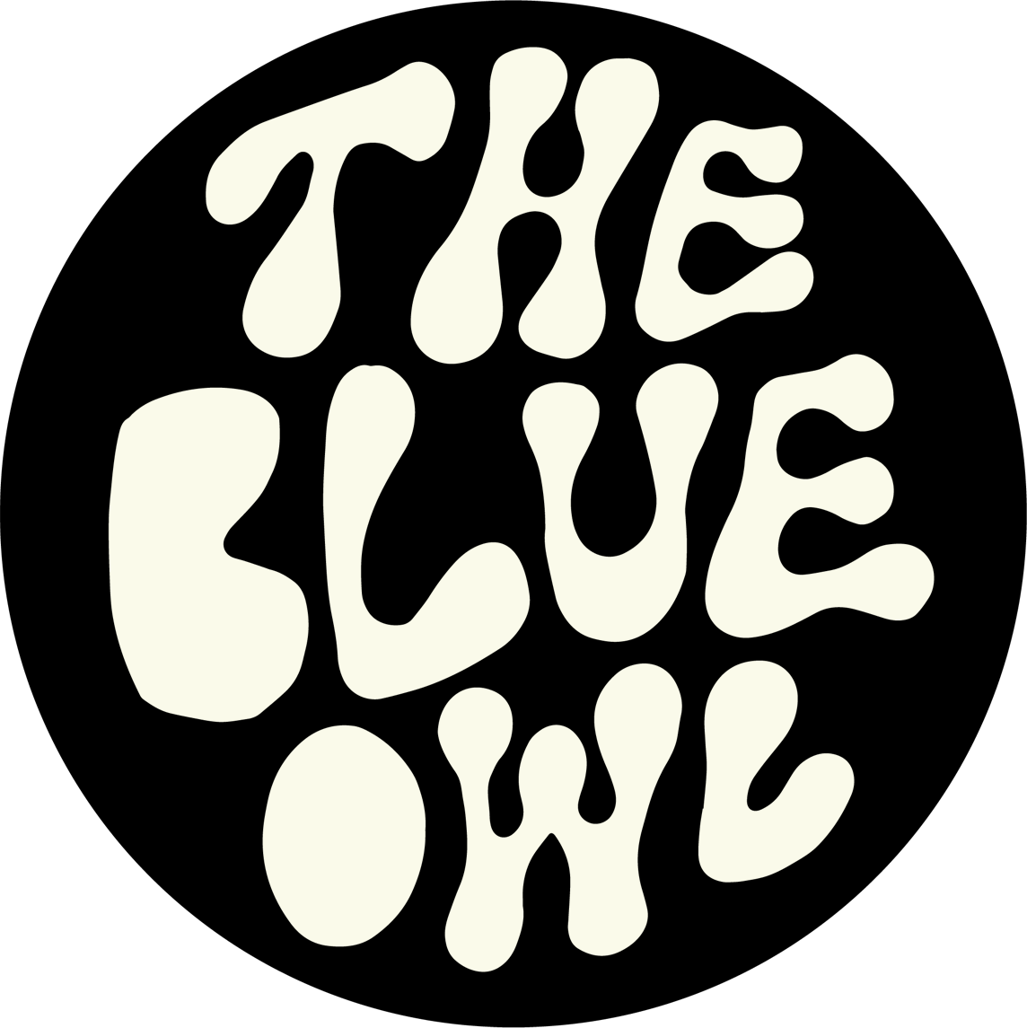 The Blue Owl - Vegan Nam Toc Burrito