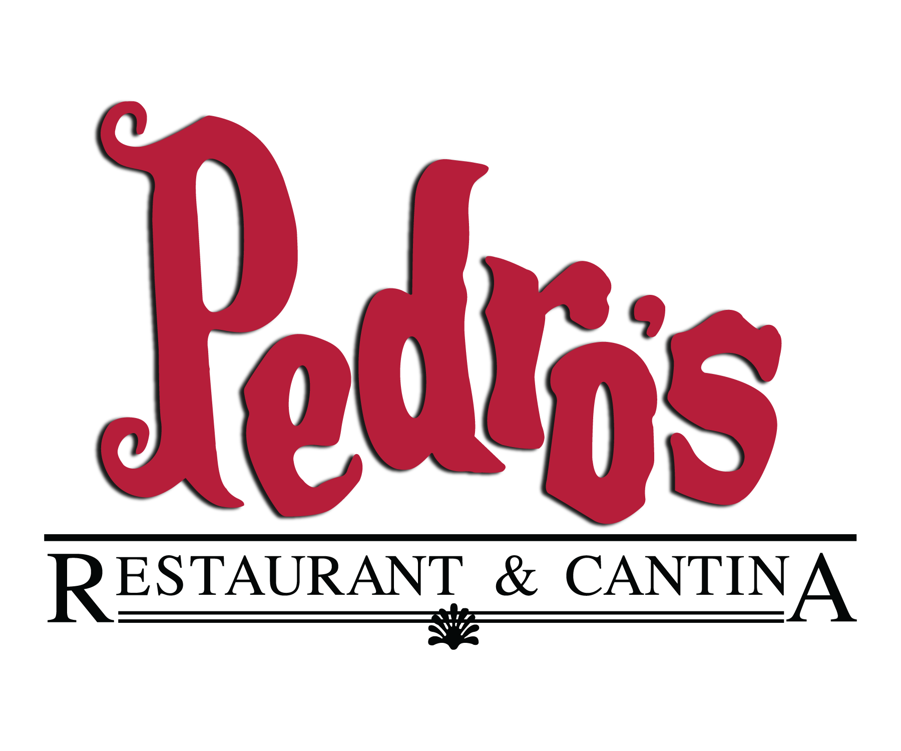 Pedro's Santa Clara - Tamales - 1 Dozen Chicken Chile Verde