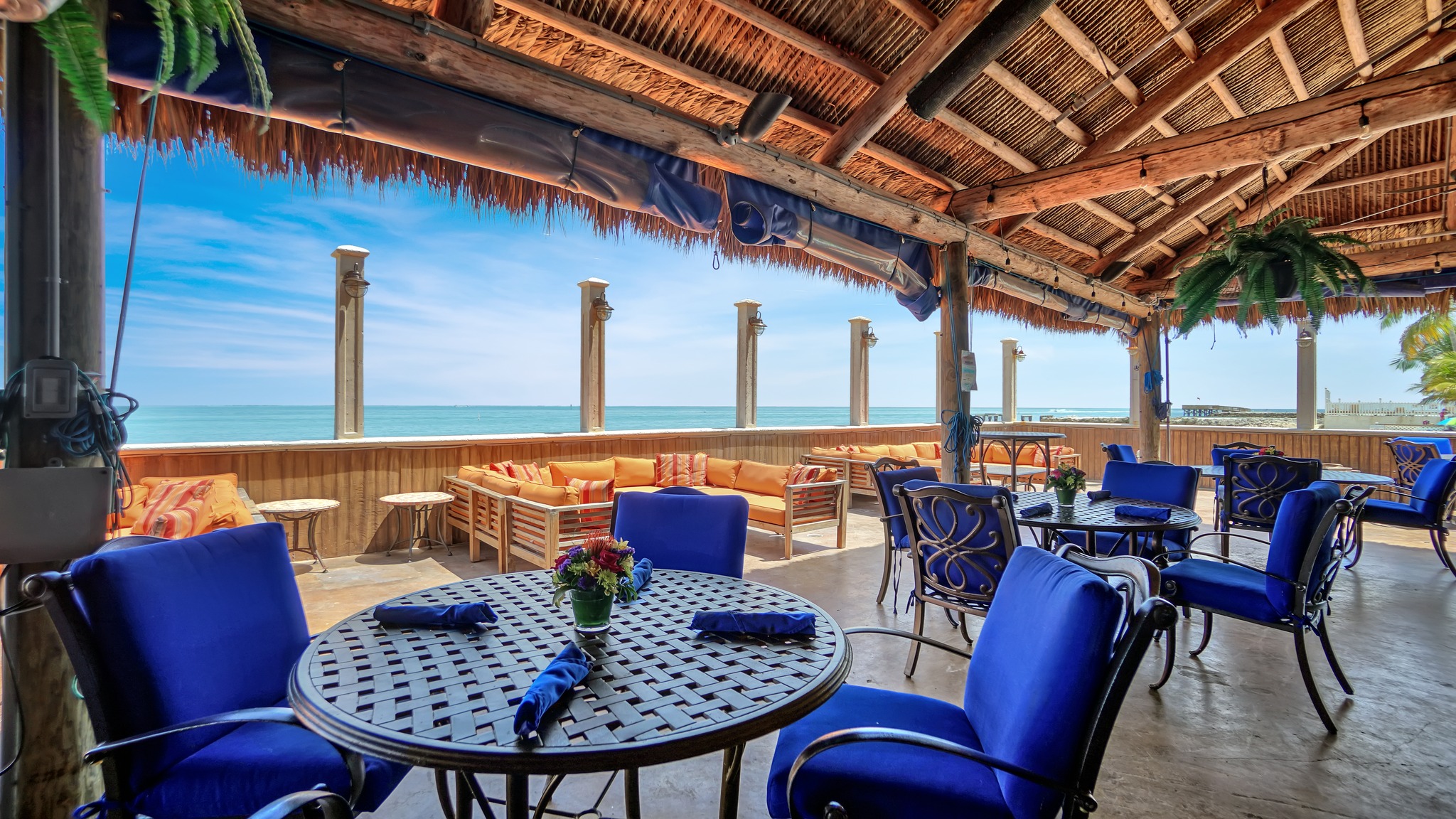 Havana Jack's Oceanside | Toast