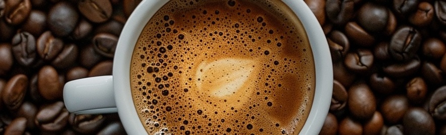 Al Hamawi Roastery & Café | Orland Park Orland Park | Toast